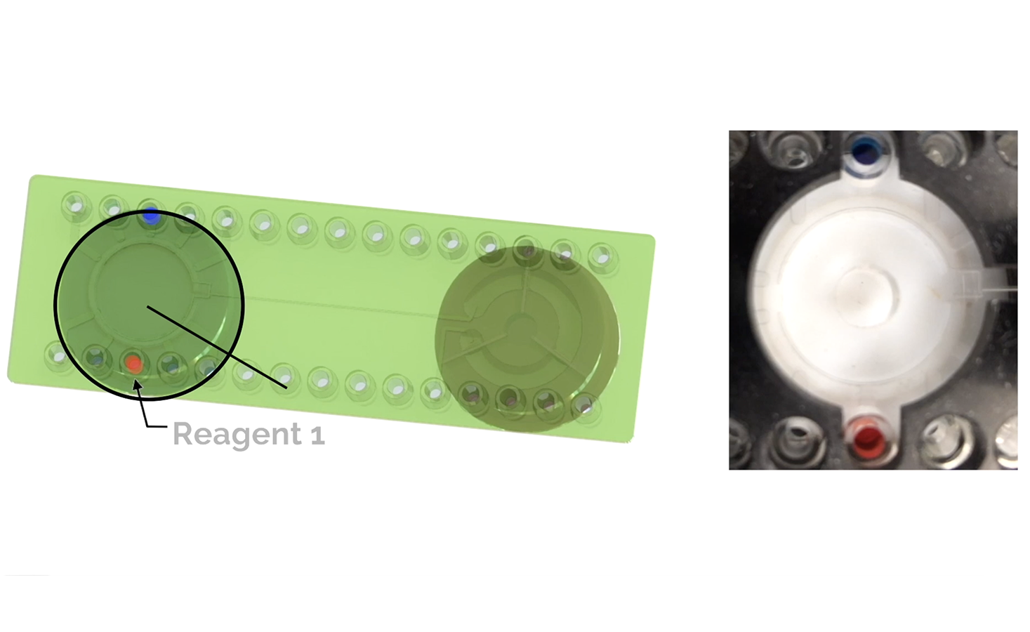 Moving Fluids in Microfluidics Without External Valves and Pumps ...